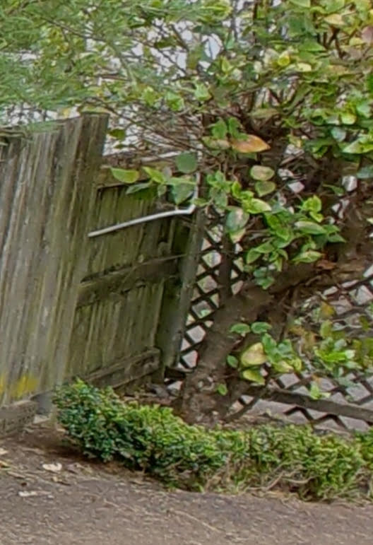 New Fence and New Gate - Urgent | NoCowboys