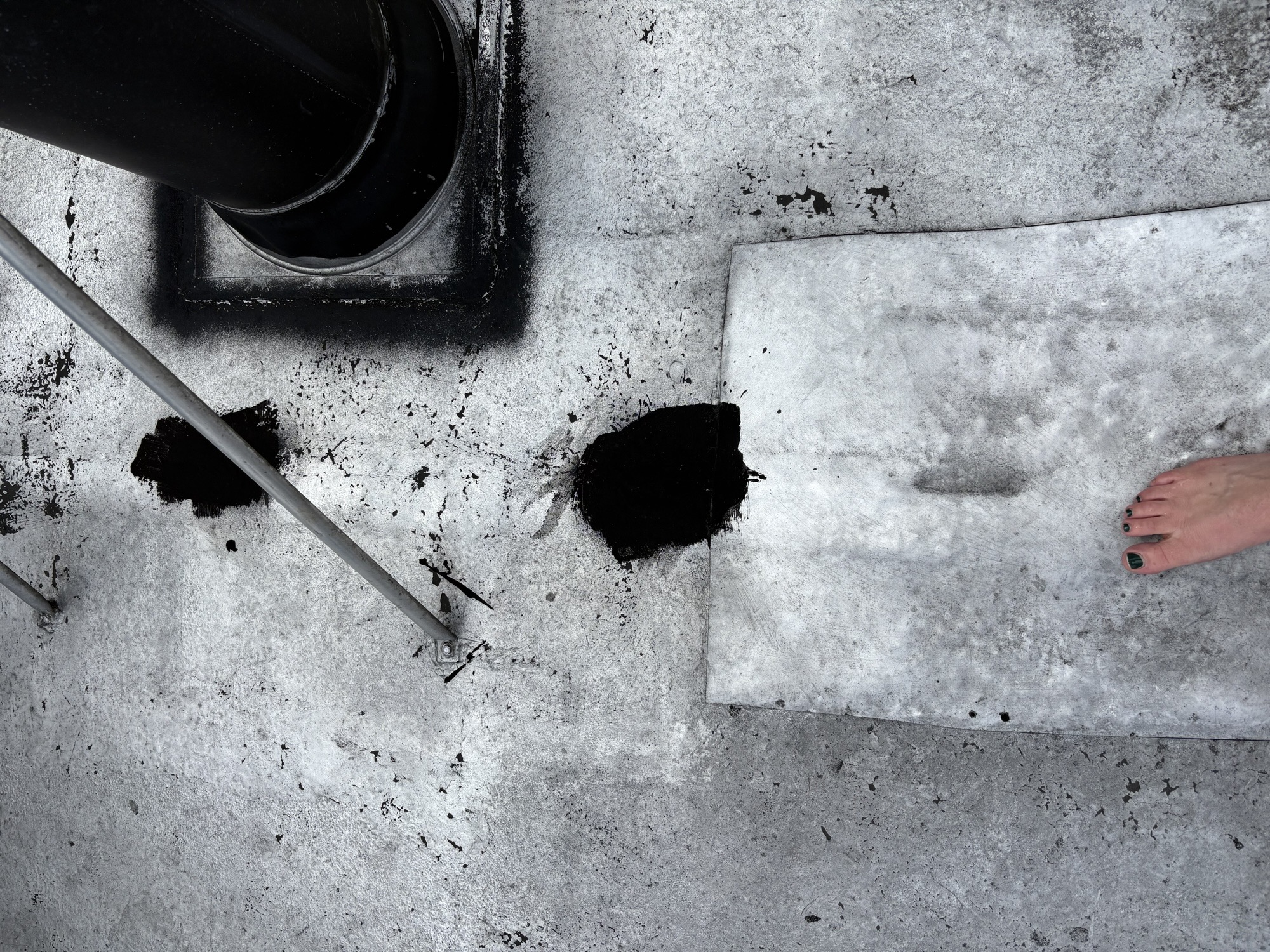 Flat roof membrane replacement | NoCowboys