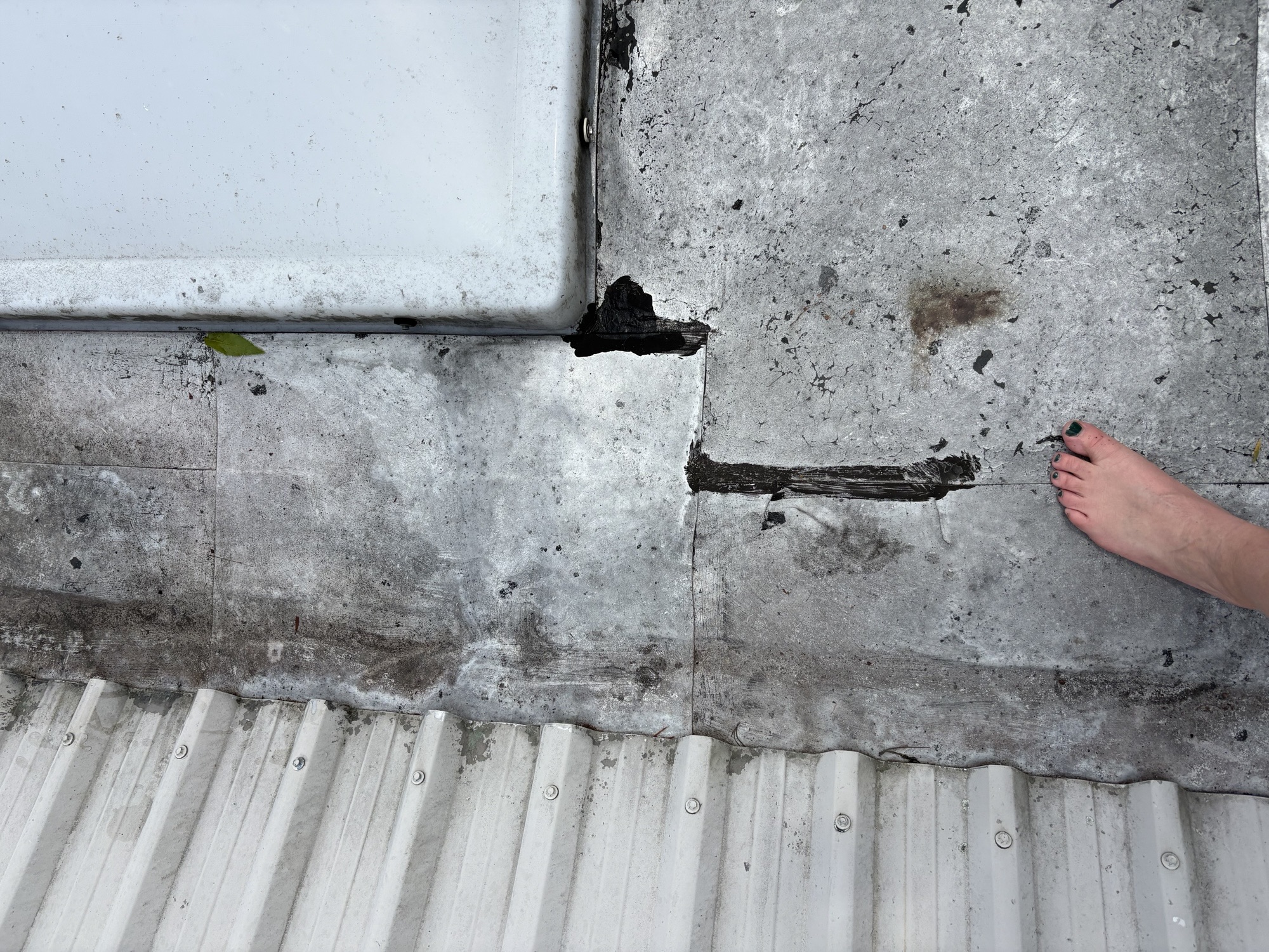 Flat roof membrane replacement | NoCowboys