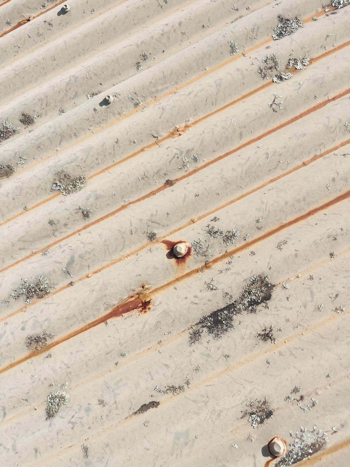 Roof repairs or refreshing | NoCowboys